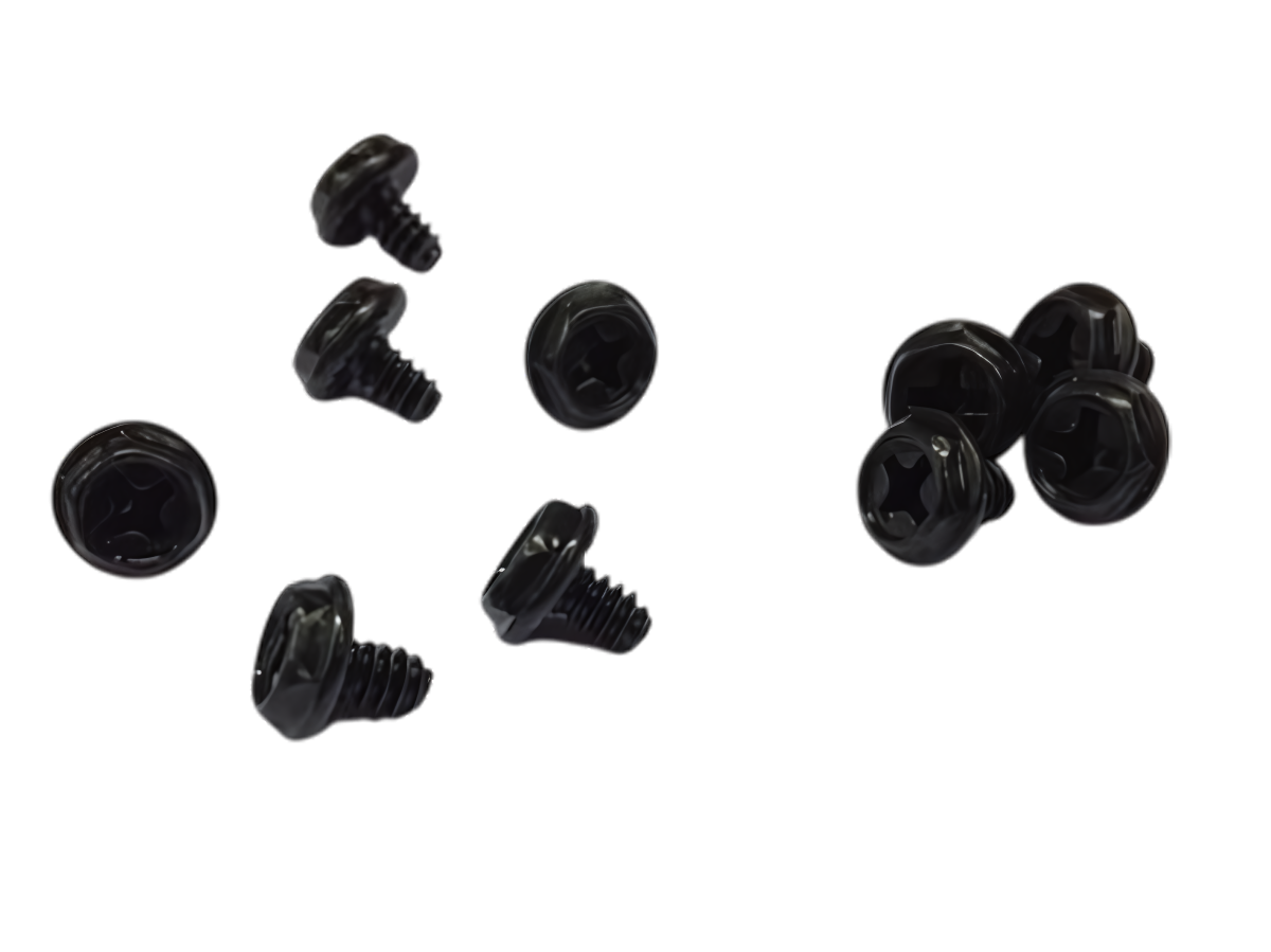 skruer 10 stk sort til Kabinet/ HHD mm - Tilbehør - BWS Computers ApS